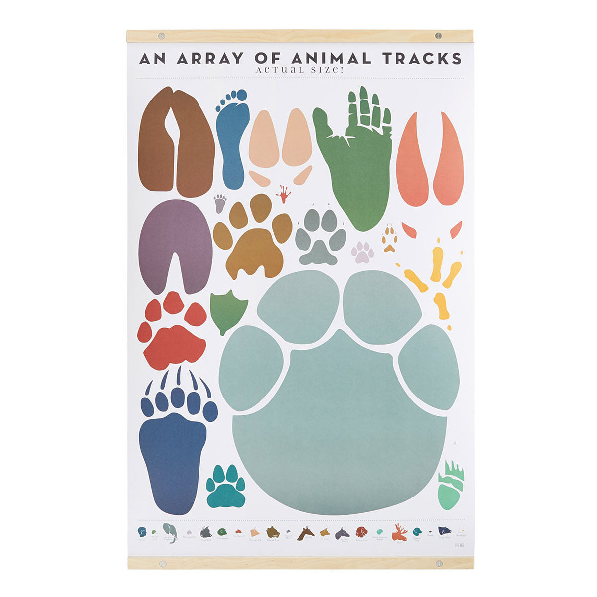 Animal Paw Prints Chart