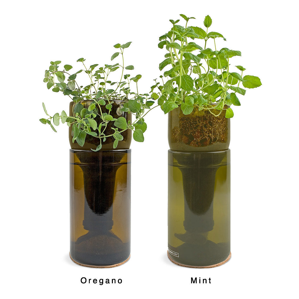 Grow Bottle — Empire Supply